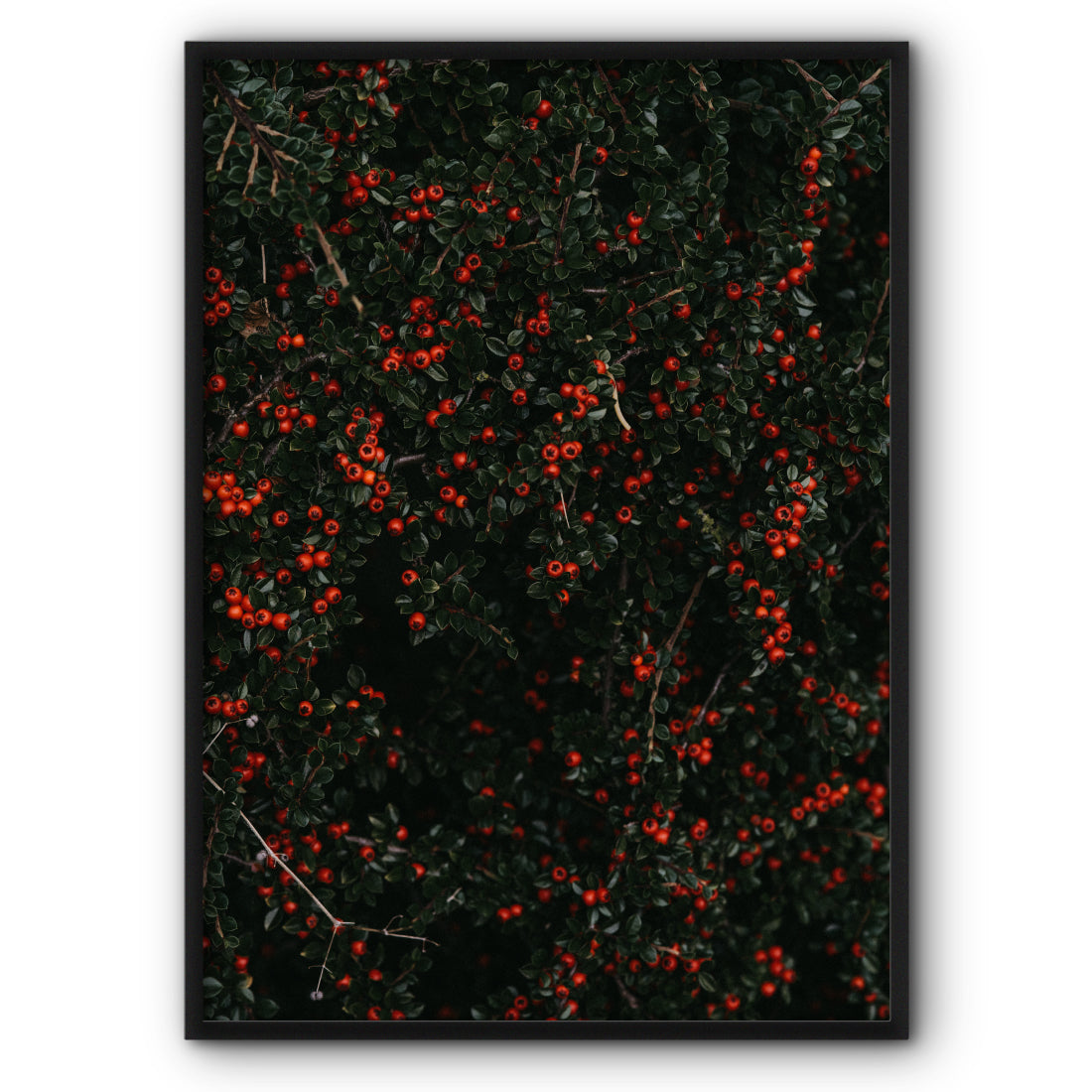 Red Berries Canvas Print Wall Art Poster – The Style Habitat